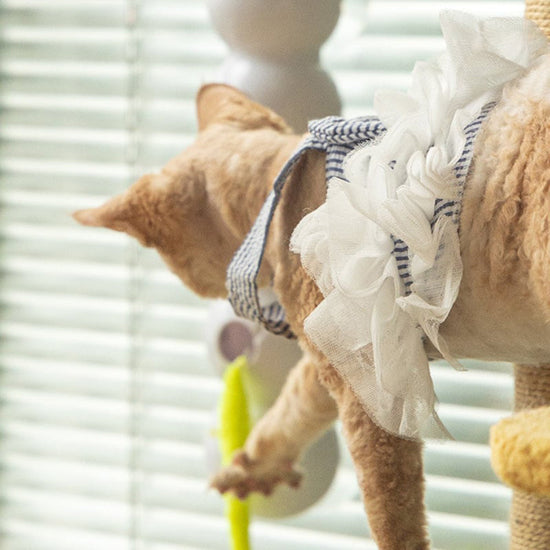 Interactive Electric Caterpillar Cat Toy – 71ml.com